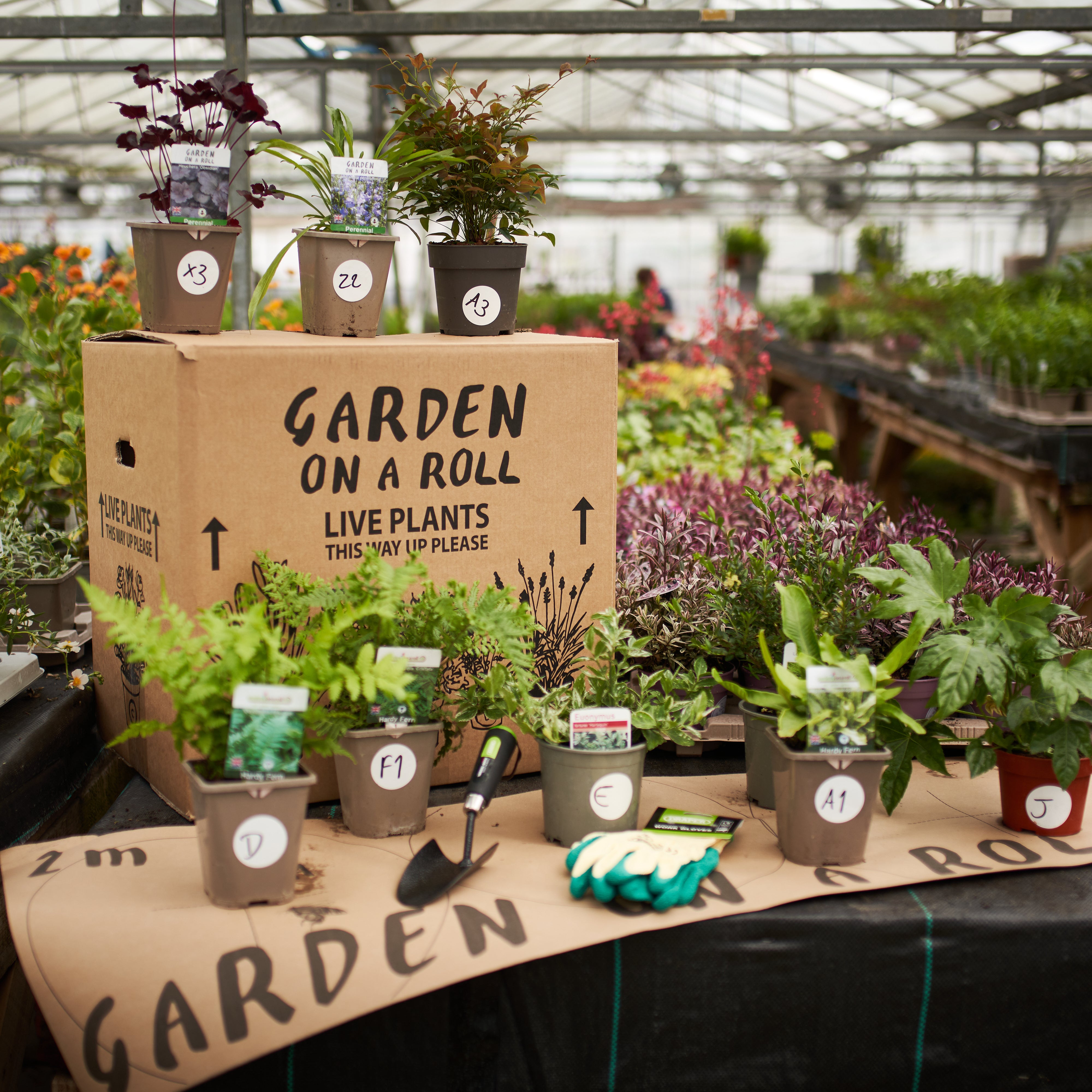 Garden Border Giveaway! – Garden on a Roll