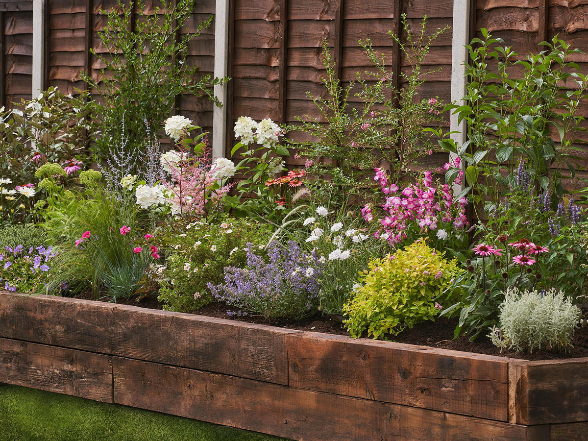 The best Spring Bedding Plants for your border | Garden on a Roll