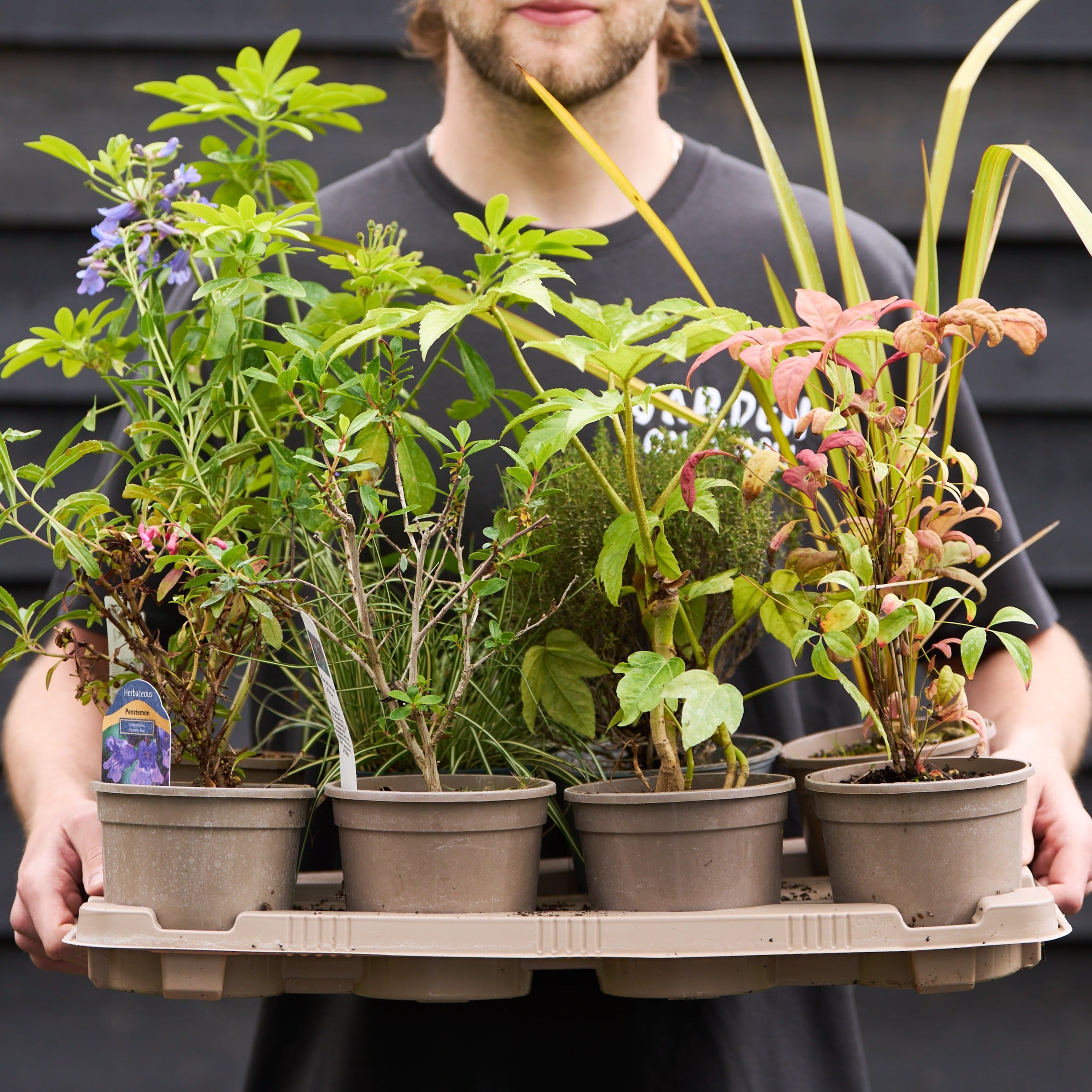 Garden on a Roll’s Eco-Revival 12 Pack Selection