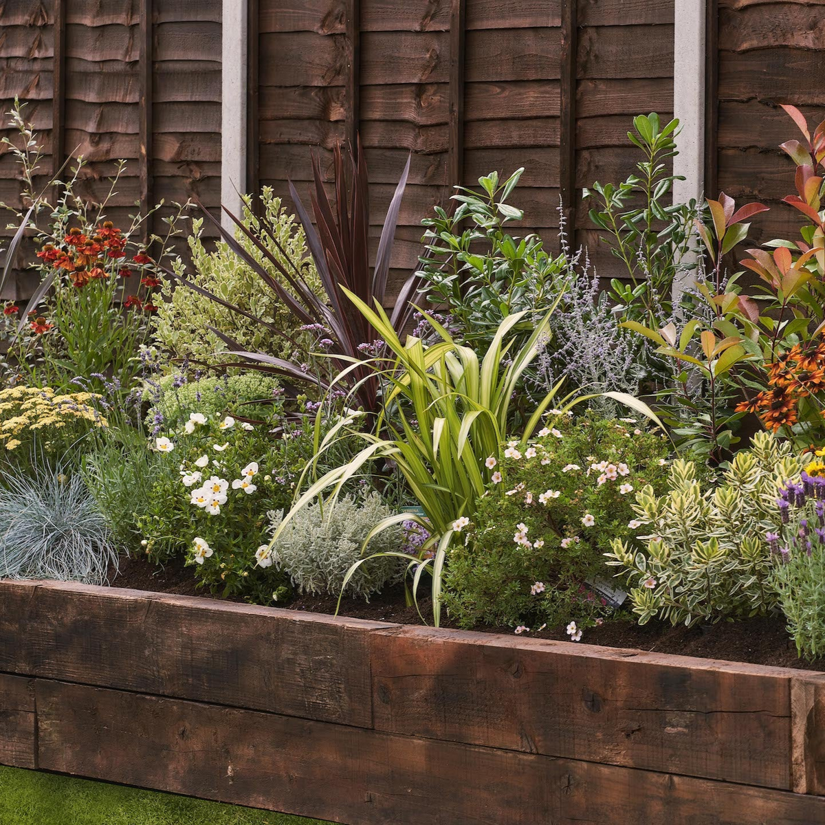 Mediterranean Perennials Mediterranean Plants To Grow In Your Garden