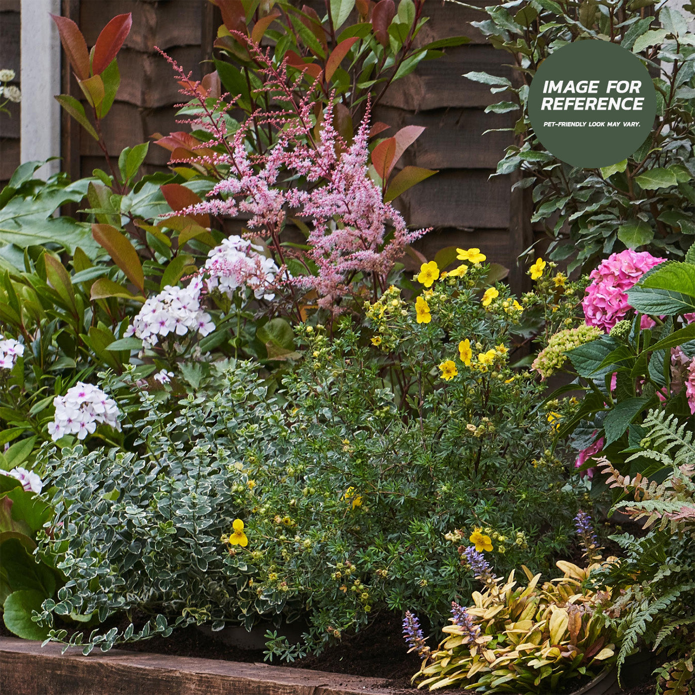 Best Plants Shady Borders Plants For Shady Borders Gardeners' Corner