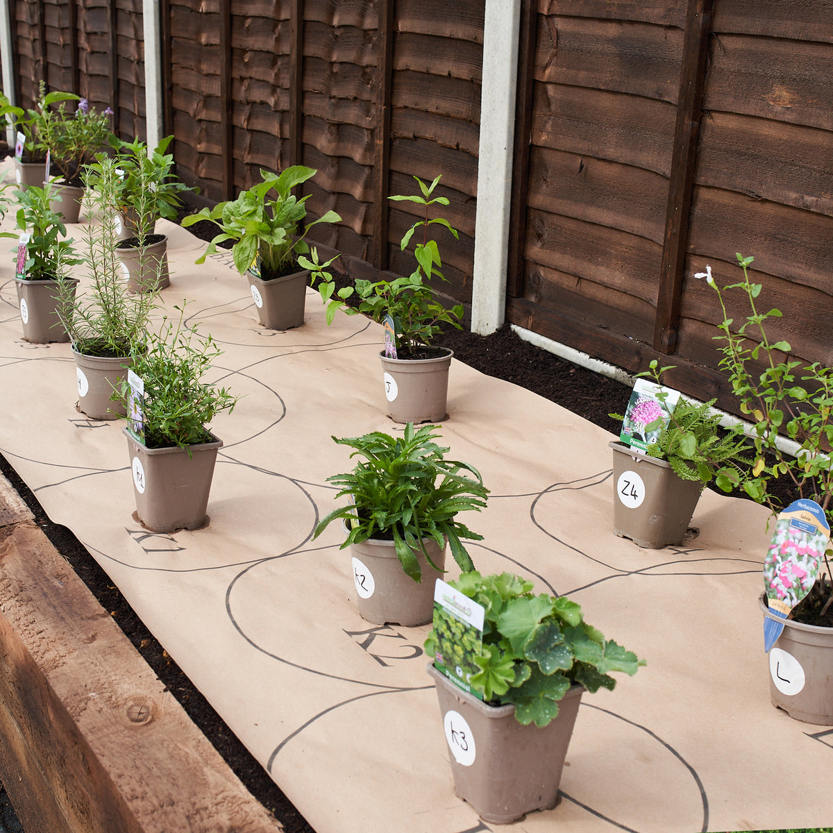 Homebase Garden Design Ideas - Homemade Ftempo