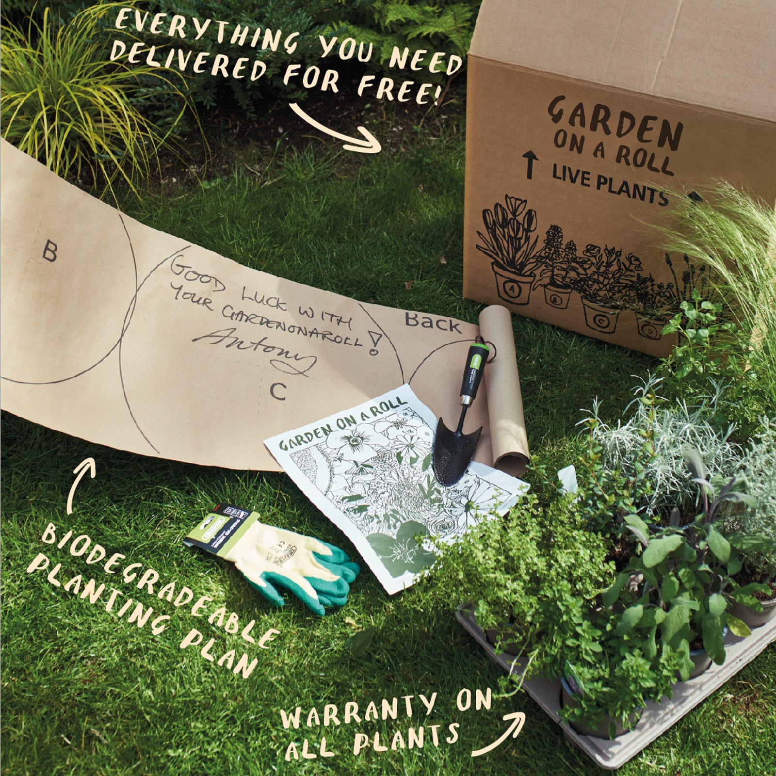 Mediterranean Border: Sun-Loving & Drought-Resilient Design – Garden on ...