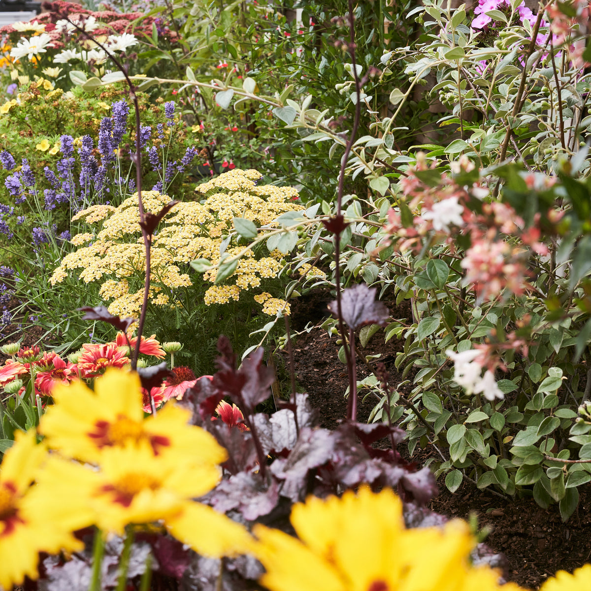 Wildlife Garden Border | Garden on a Roll