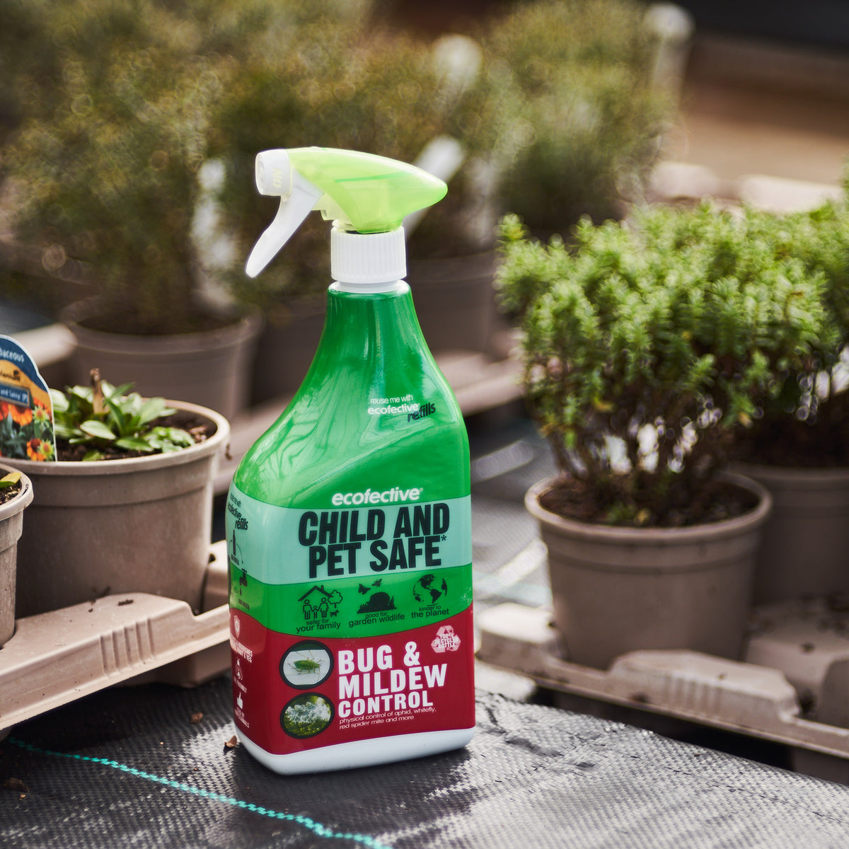 Ecofective Bug & Mildew Control – Garden on a Roll