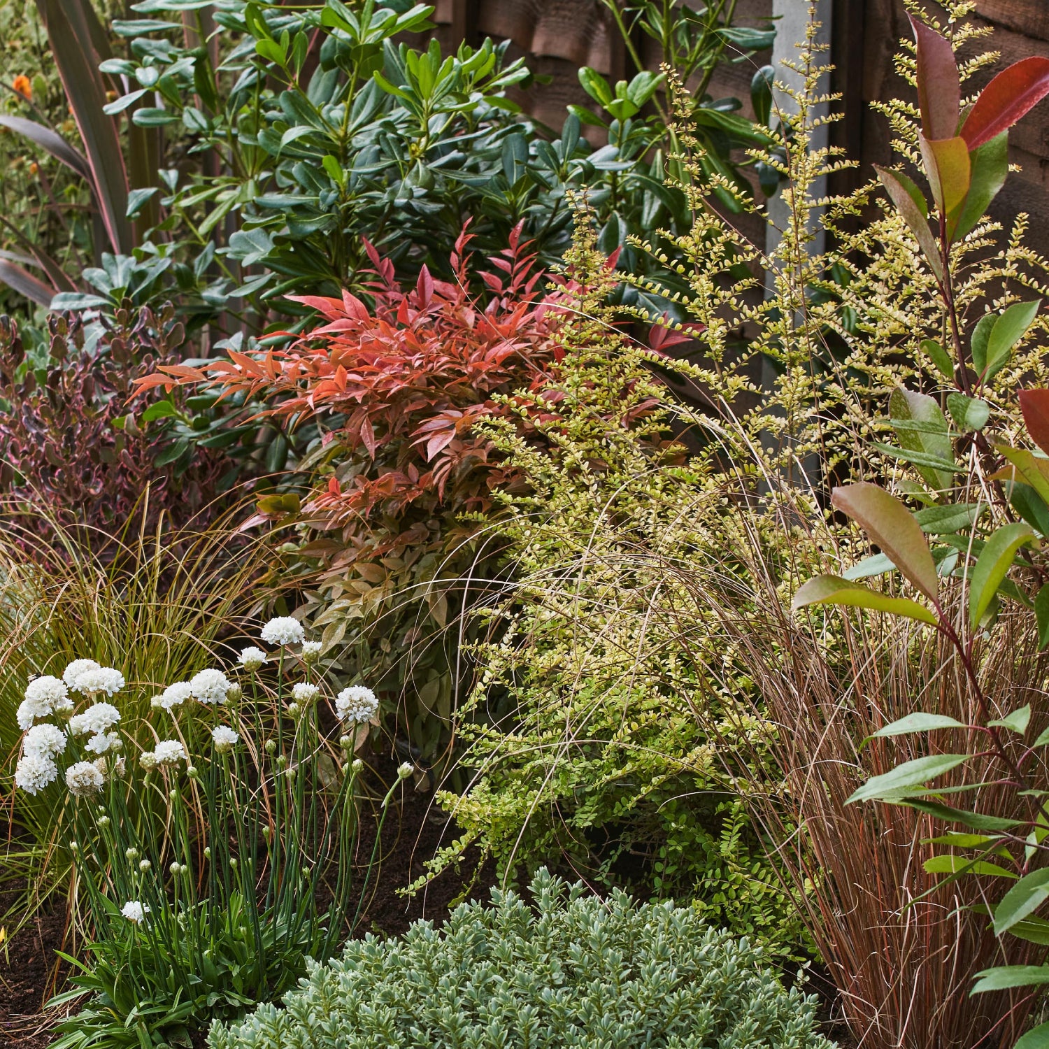 Evergreen Garden Borders | Garden on a Roll