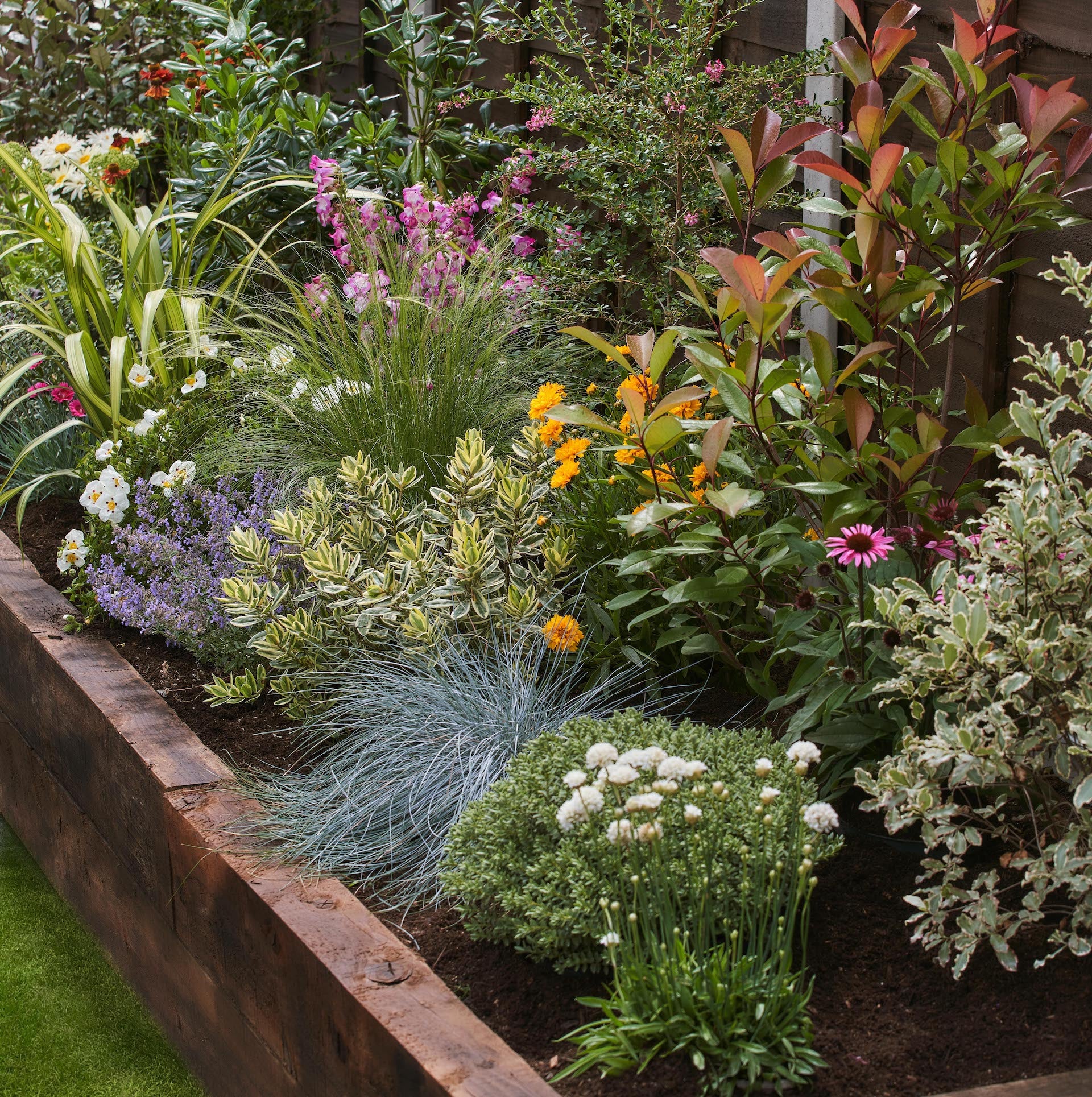 Border Garden Design Ideas Small Area