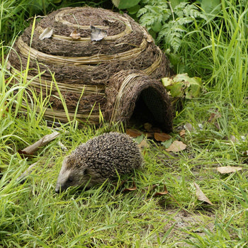 how to make a hedgehog home in your garden