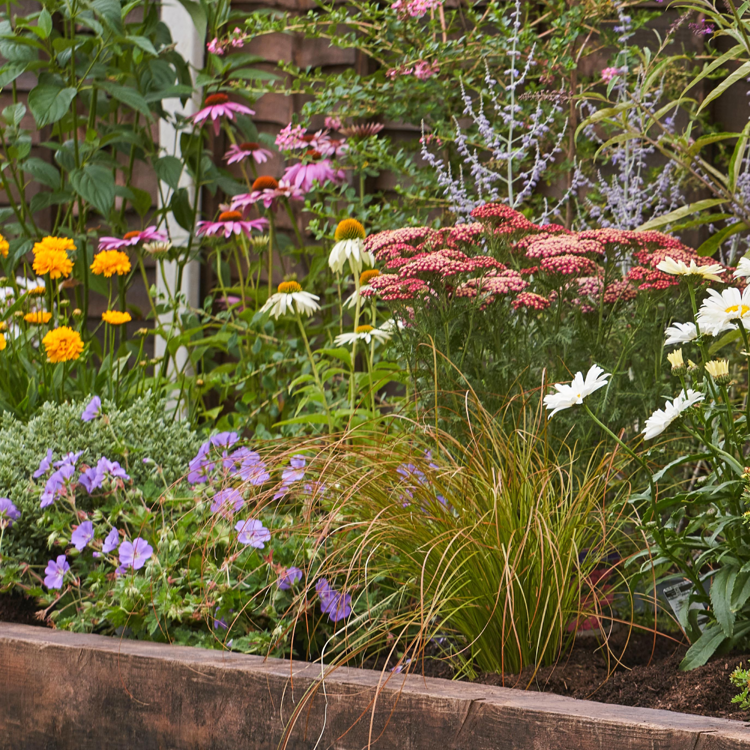 Wildlife Garden Border | Garden on a Roll